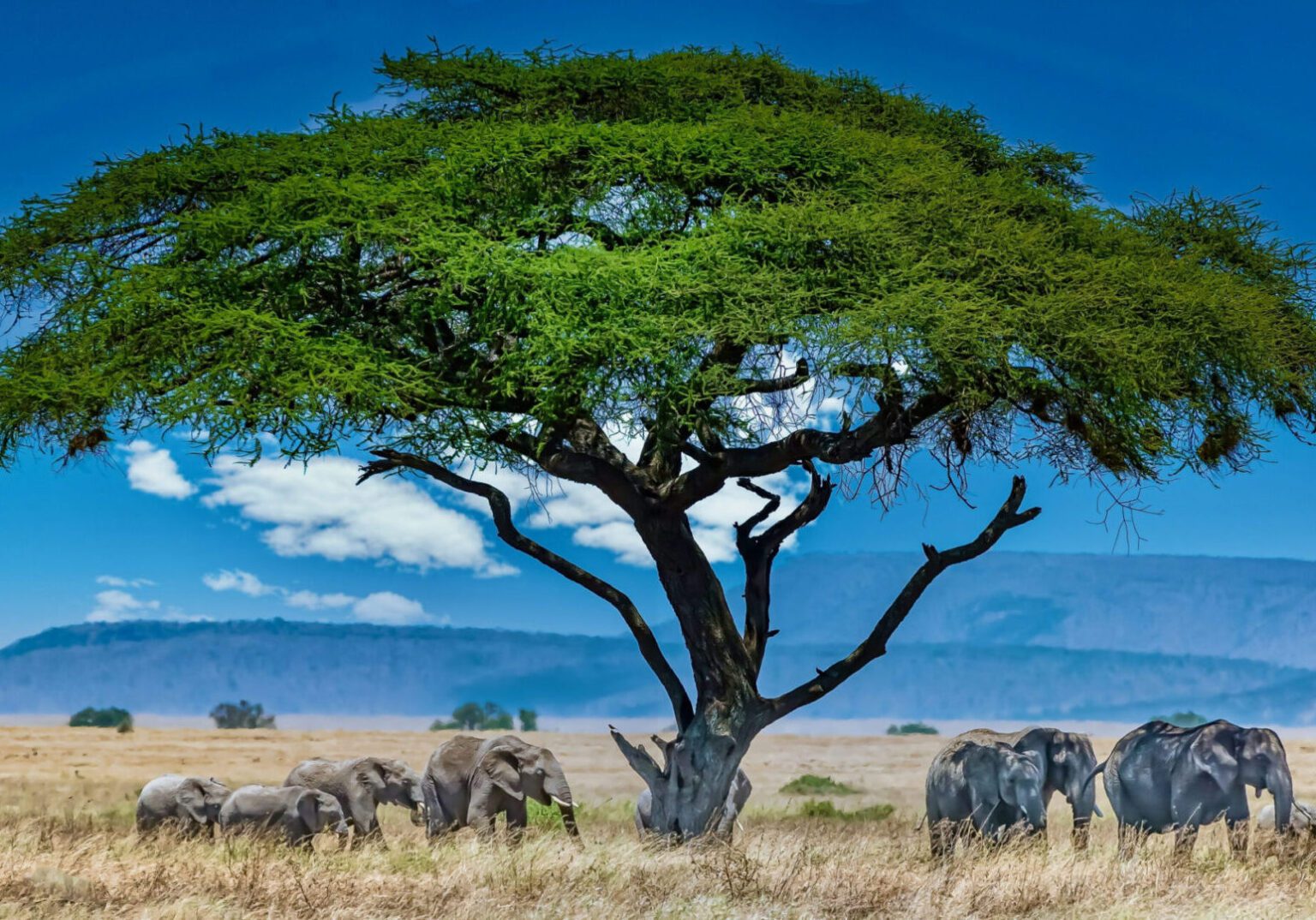 What to Expect From Our Best-Selling Cape Town Travel Packages? - Point ...
